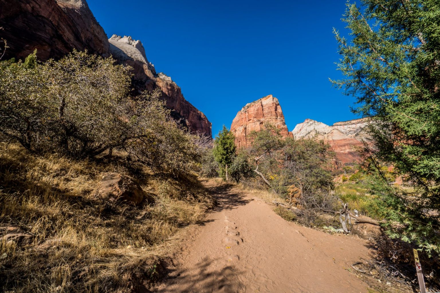 Hiking Angels Landing Trail in Zion National Park - We Love to Explore